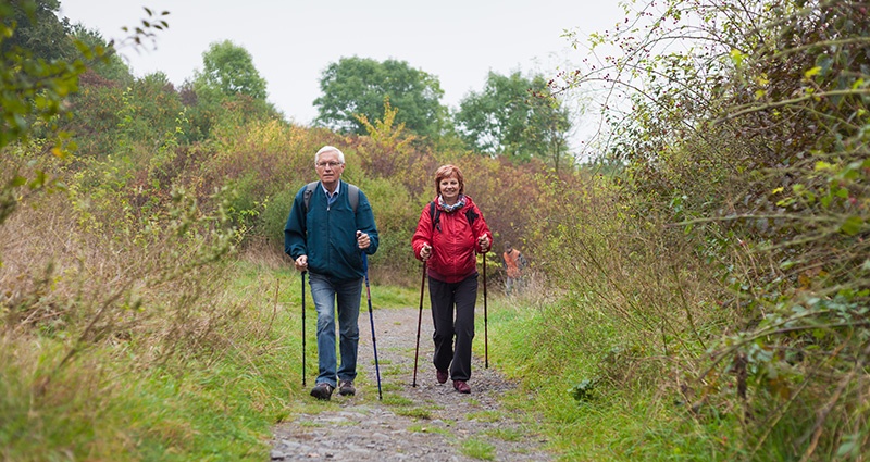 Take a Walk for Better Health and Wellness